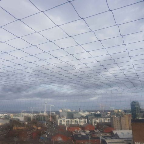 Bird Netting Spikes | Modern Flyscreens | Ireland