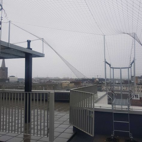 Bird Netting Spikes | Modern Flyscreens | Ireland