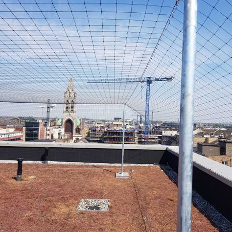 Bird Netting Spikes | Modern Flyscreens | Ireland