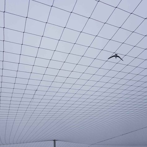 Bird Netting Spikes | Modern Flyscreens | Ireland