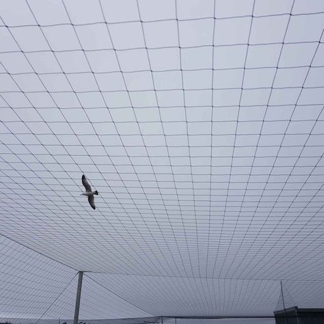 Bird Netting Spikes | Modern Flyscreens | Ireland